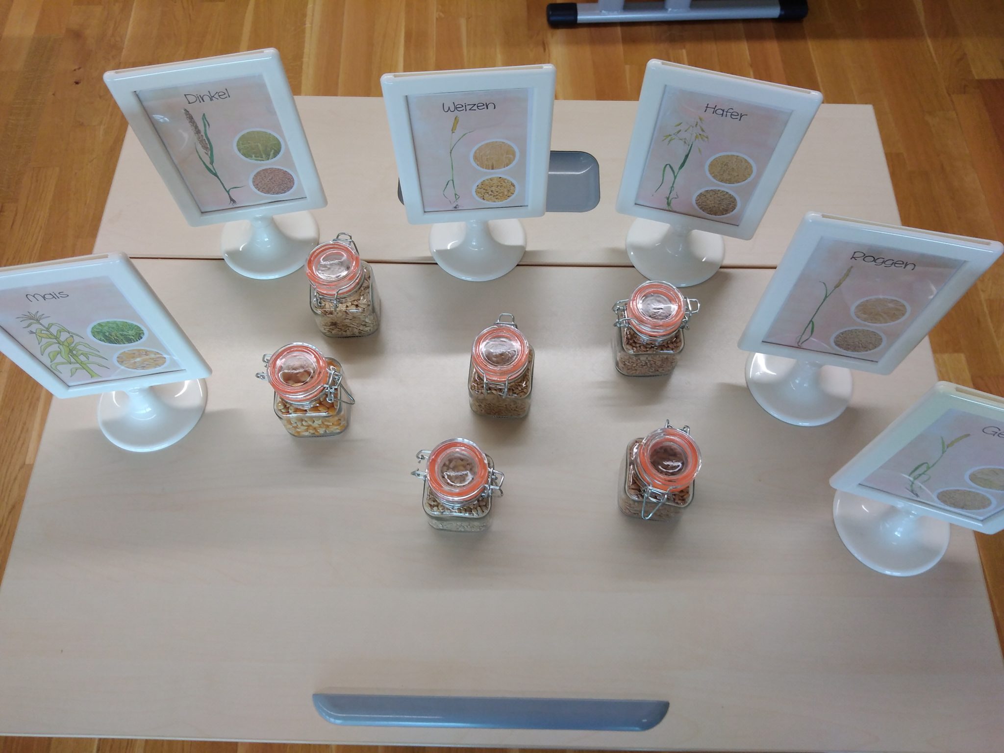 Vom Korn zum Mehl- 3a – Volksschule Oberlangkampfen