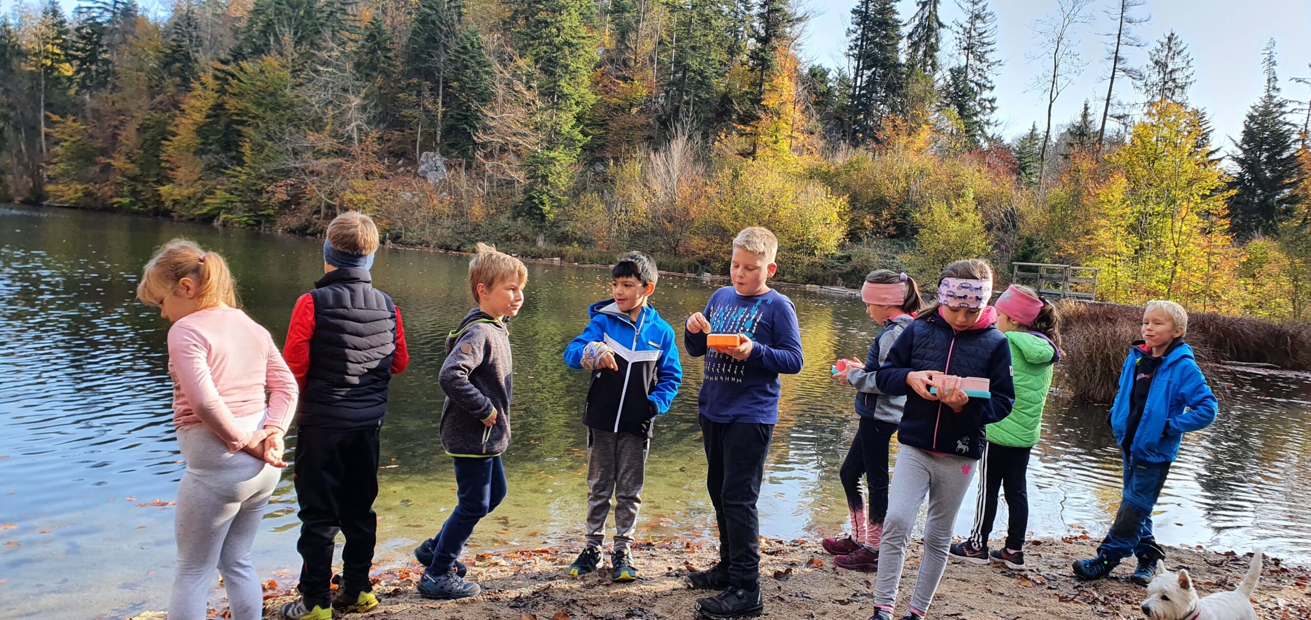 20221018 094433 – Volksschule Oberlangkampfen